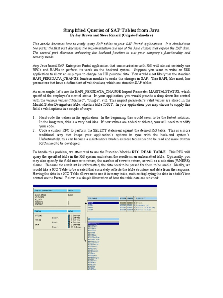 Simplified Queries Of Sap Tables From Java Pdf Java Programming Language Method