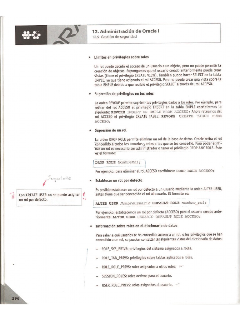 Roles y Perfiles ORACLE - PL/SQL | PDF