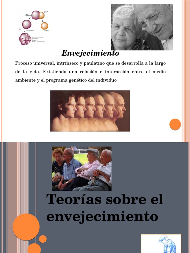 Teorias Del Envejecimiento Diapositivas | PDF | Envejecimiento | Sistema inmune