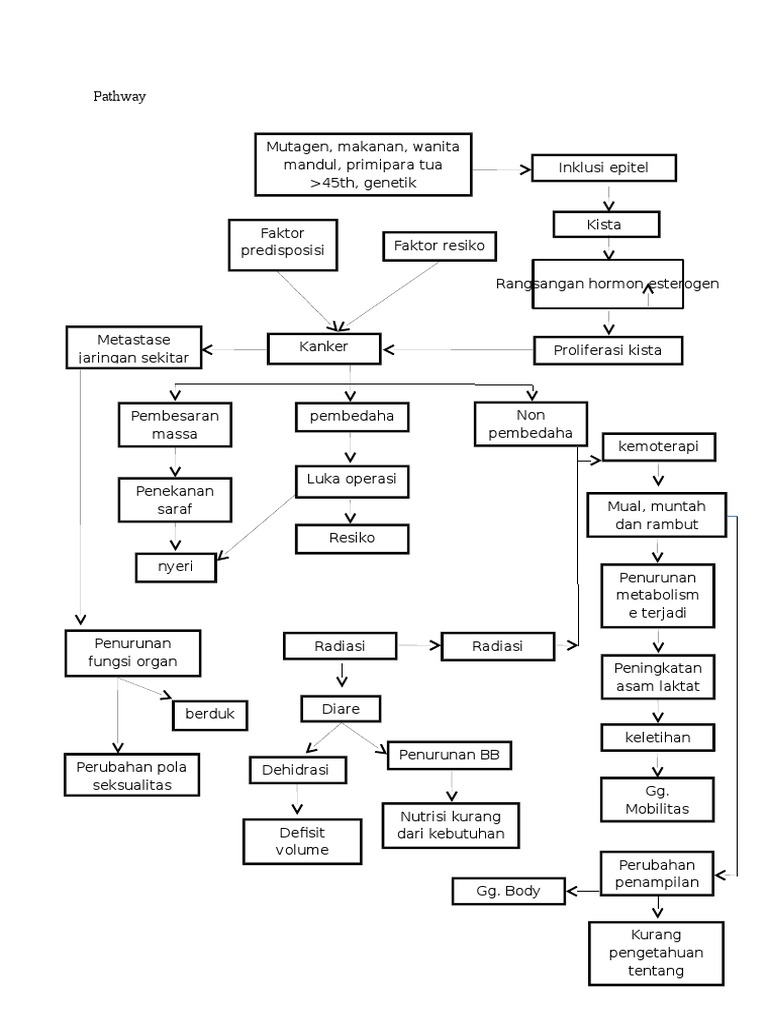 Pathway Ca Ovarium | PDF