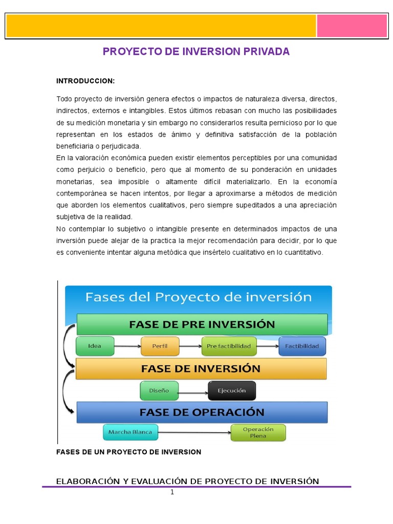 Estructura de Proyecto de Inversion Privada | PDF | Mercado (economía ...