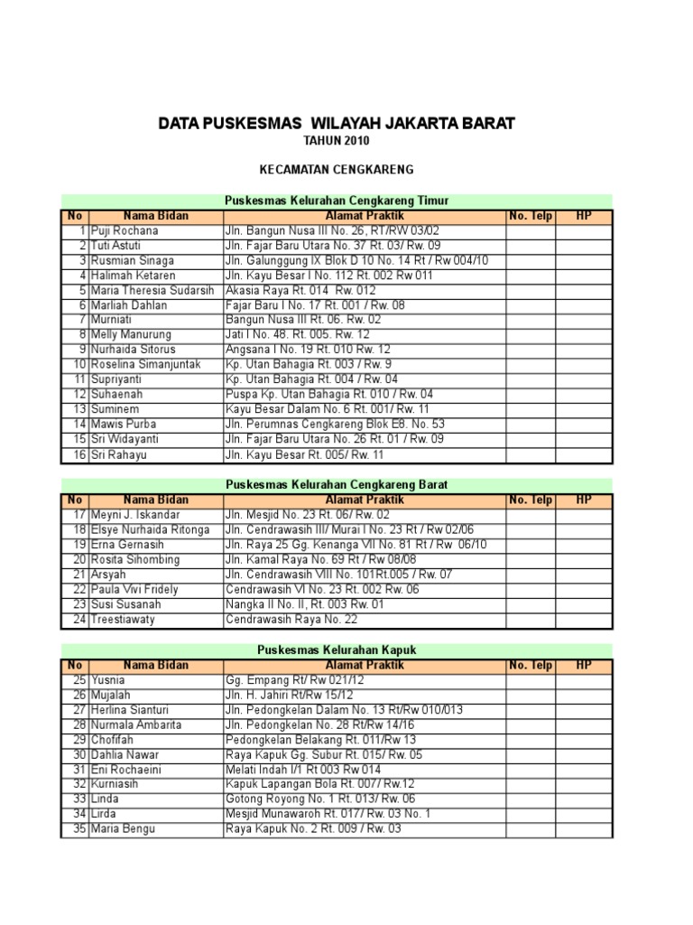 Data Bidan Mentah (Ibi) | PDF