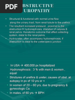 Flank Pain: Differential Diagnosis Guide | PDF | Kidney | Urinary Tract ...