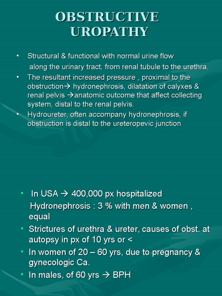 Understanding Obstructive Uropathy | PDF | Urinary System | Medical ...
