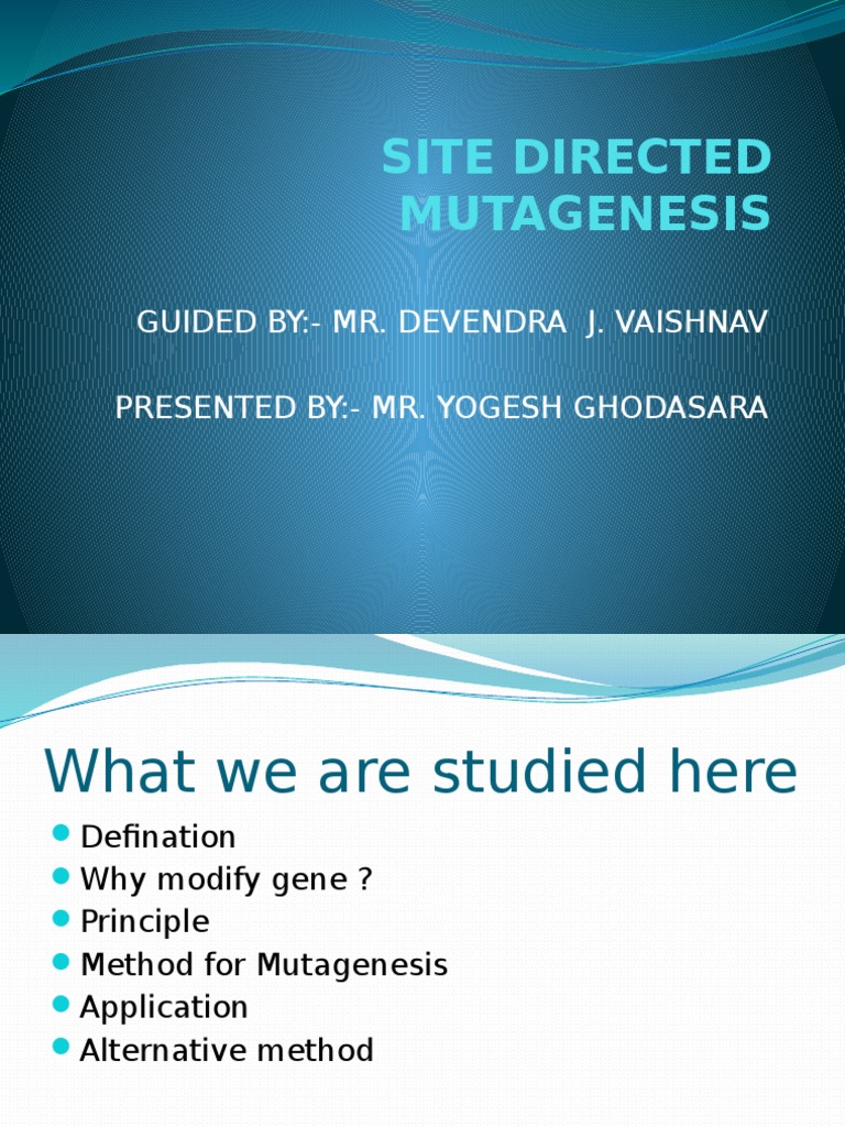 Site Directed Mutagenesis | PDF | Primer (Molecular Biology ...