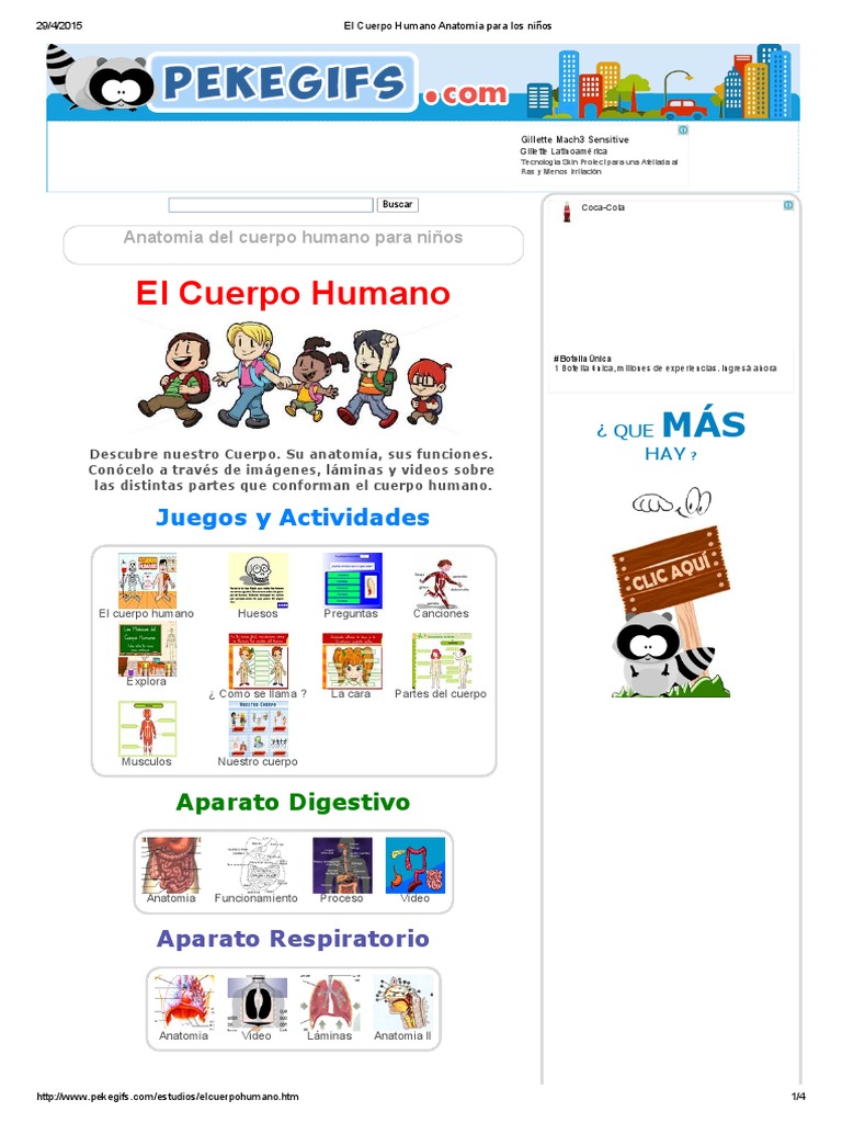 El Cuerpo Humano Anatomia Para Los Niños Pdf Pdf Cuerpo Humano