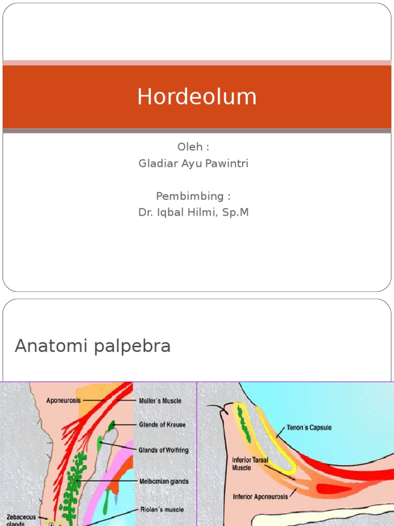 Hordeolum | PDF