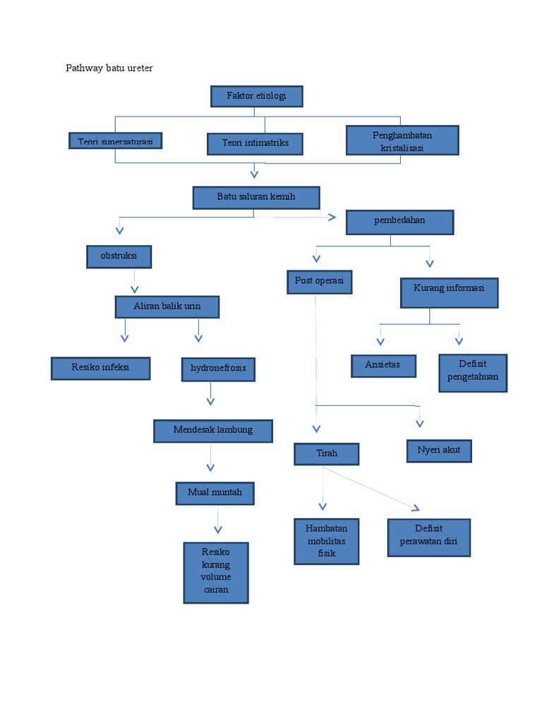 Pathway Perawatan Batu Ureter Post Operasi | PDF