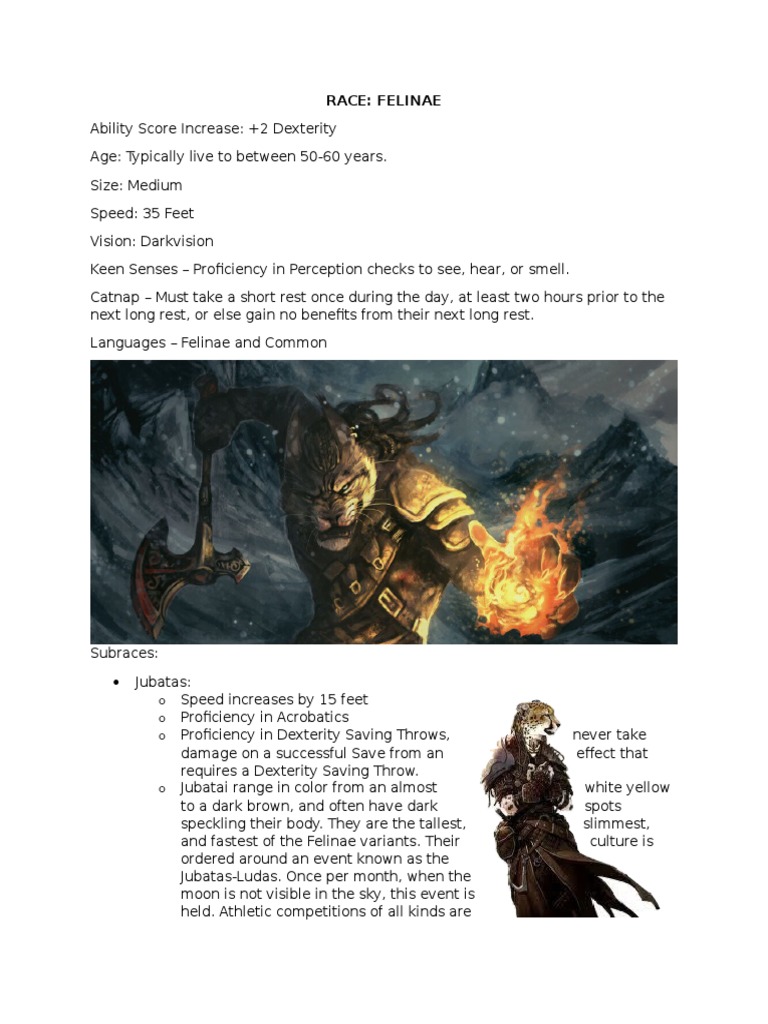 Felinae Race DnD 5e