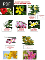 50+ Jenis Bunga dan Gambarnya | PDF