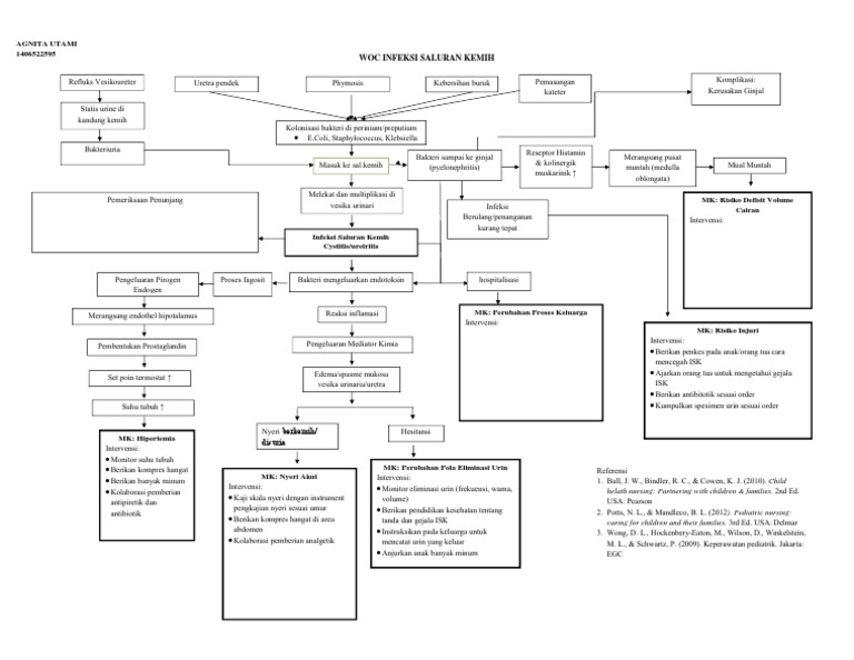 Woc Infeksi Saluran Kemih | PDF