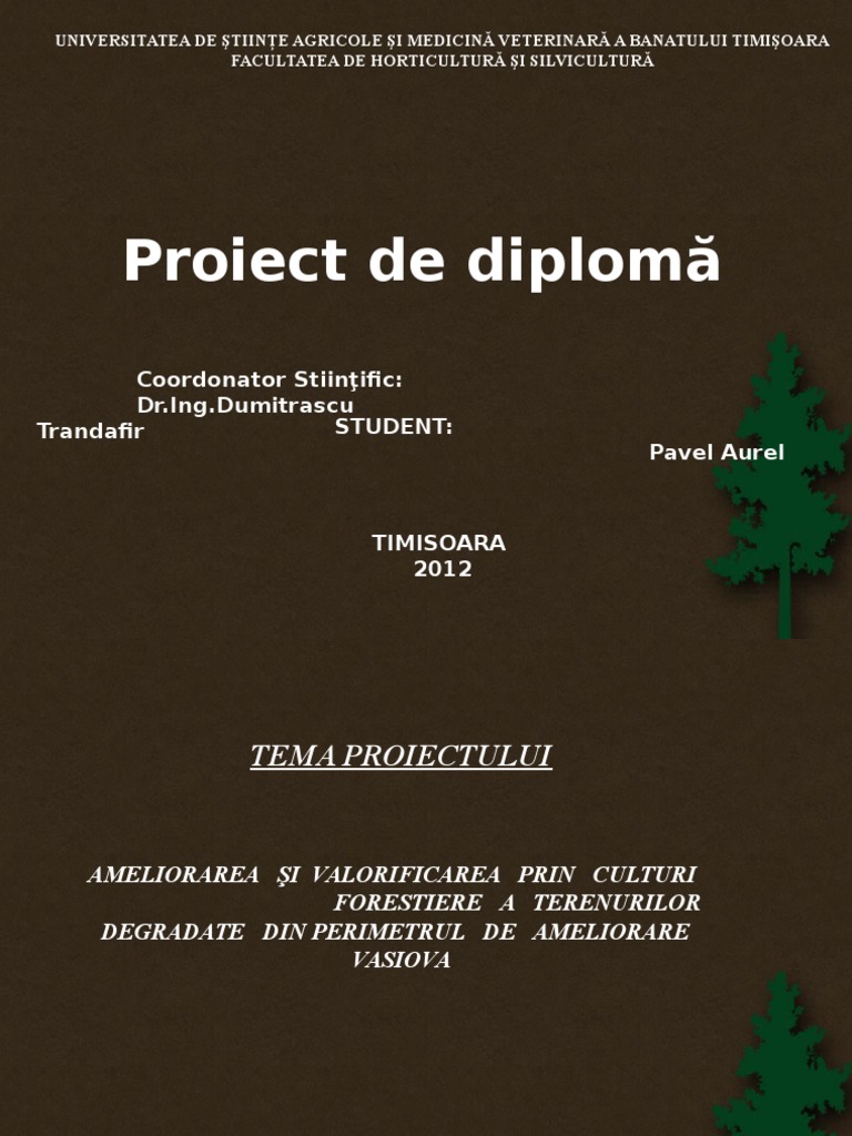Proiect Licenta | PDF