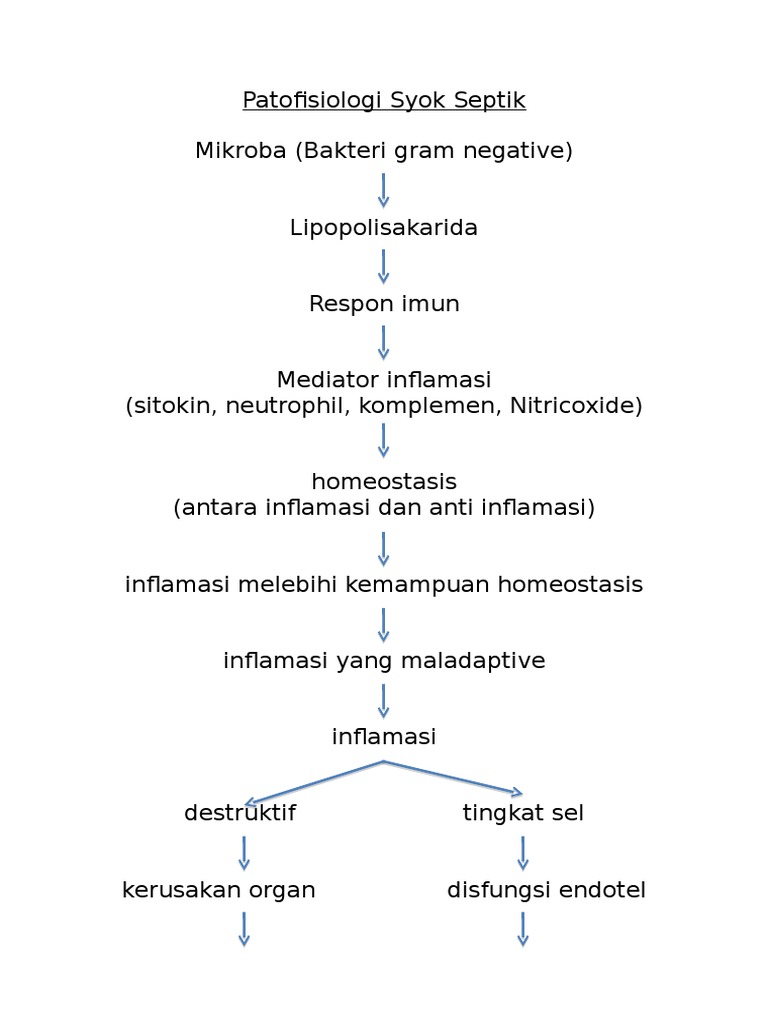 Patofisiologi Syok Septik | PDF