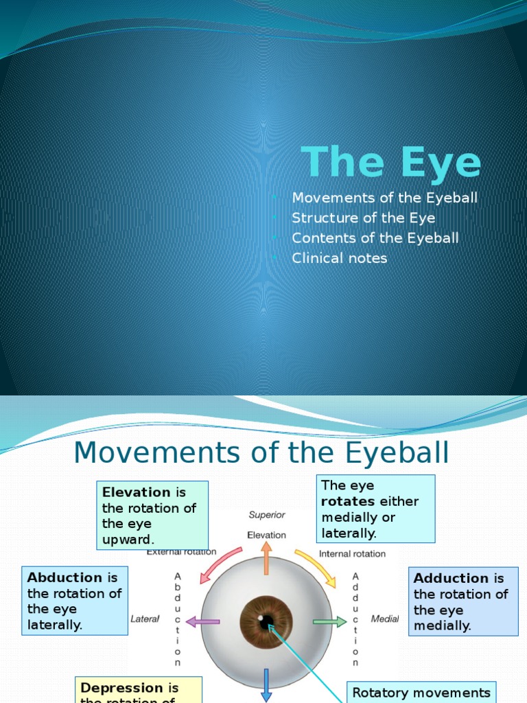 The Eye: Movements of The Eyeball Structure of The Eye Contents of The ...