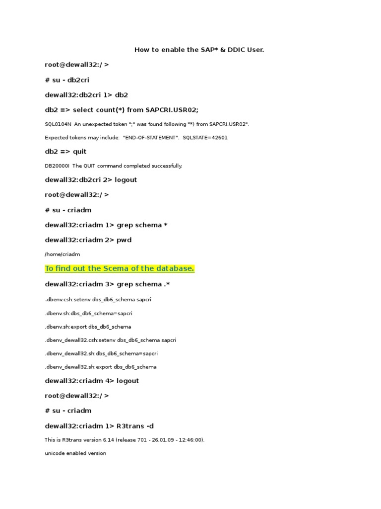 Enable SAP* & DDIC User Guide | PDF | Ibm Db2 | Computer Architecture