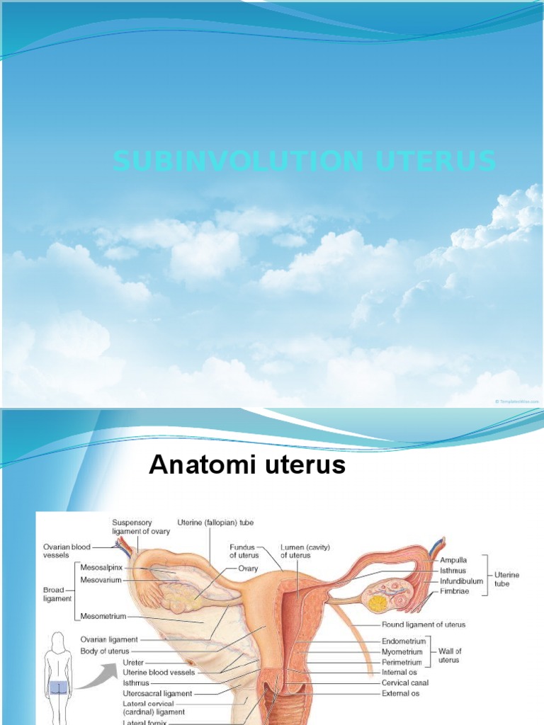 Subinvolution Uterus | PDF