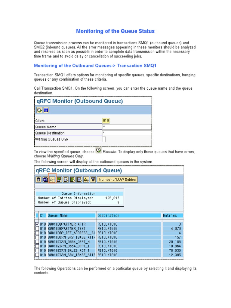Monitoring Queue Status Transaction SMQ1 SMQ2 | PDF