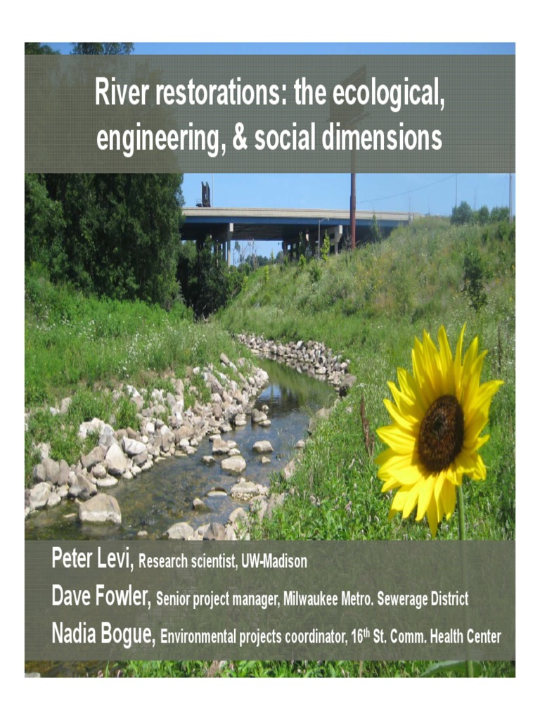 River Restoration: Ecological, Engineering and Social Dimentions ...