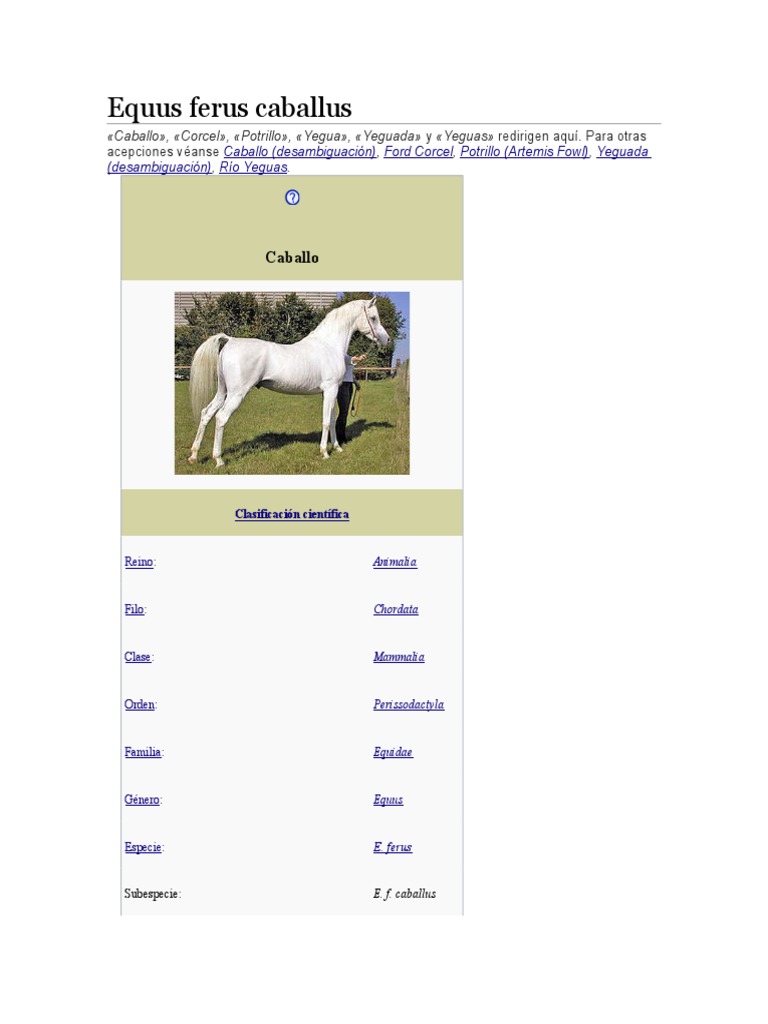 Taxonomía del caballo: Equus ferus caballus | PDF | Caballos | Équidos