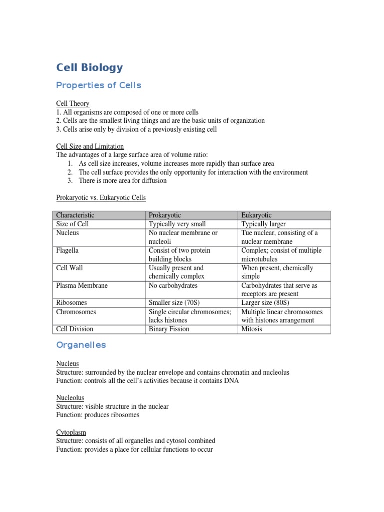 IB Biology Exam Notes | PDF | Adenosine Triphosphate | Mitosis