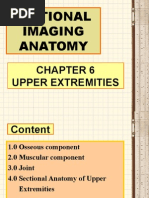Netter - Atlas of Human Anatomy | PDF | Abdomen | Pelvis