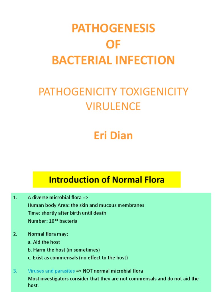 Patogenesis Infeksi Bakteri | PDF | Infection | Pathogen