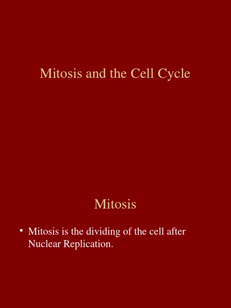 A Comprehensive Guide to Mitosis, the Cell Cycle, and Associated Key ...