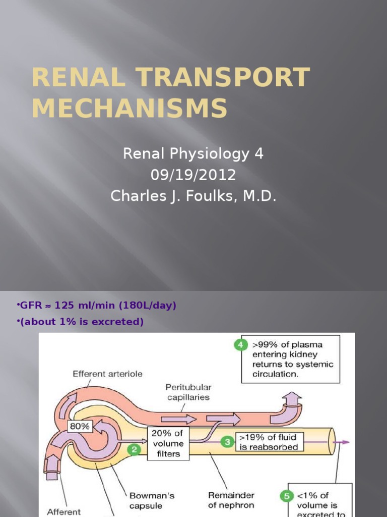 Transport Mech 09192011 | PDF | Cell Membrane | Kidney