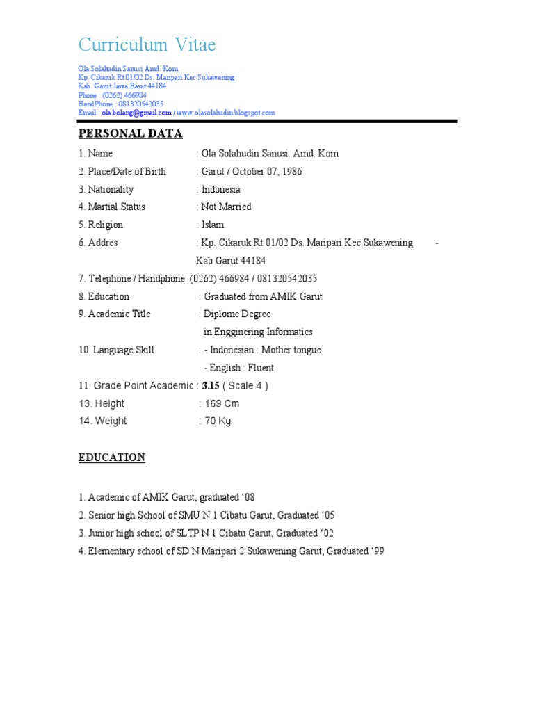 Curriculum Vitae: Personal Data | Download Free PDF | Computing ...