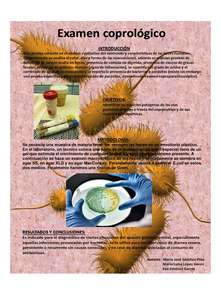 P - 2562 - Examen Coprologico | PDF