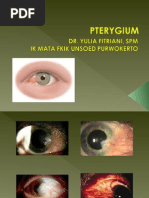 Papilledema Grading System (Frisen Scale) | PDF