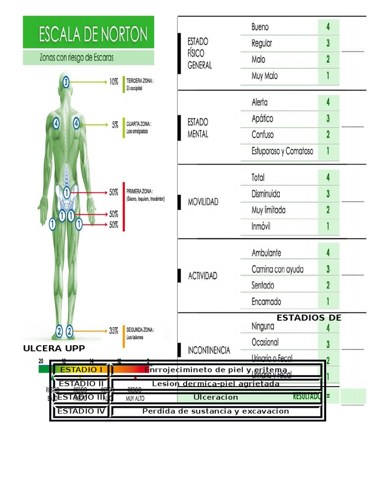 Escala de Norton | PDF