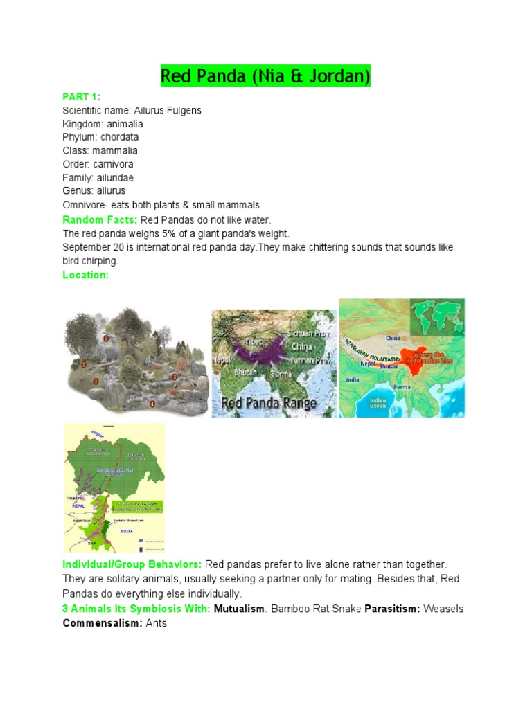 Scientific Name of Red Panda | PDF | Wellness | Science & Mathematics