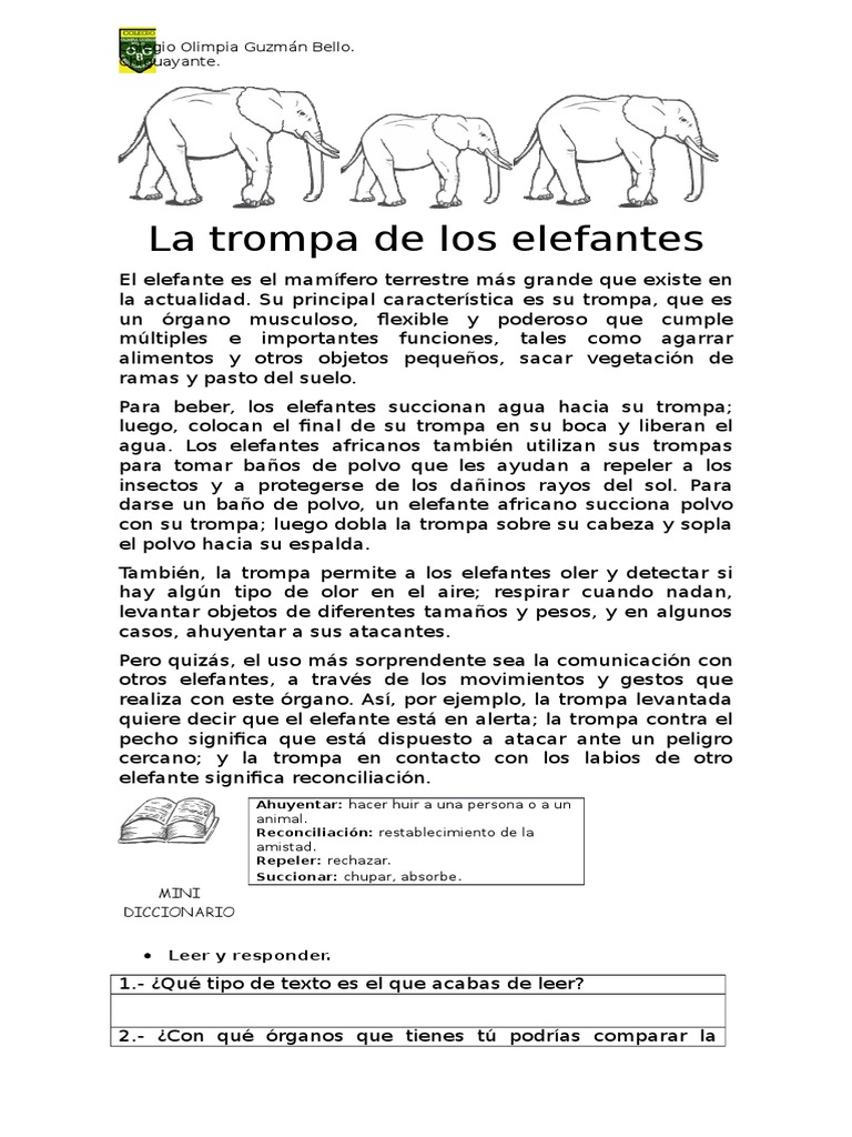 COMPRENSION de LECTURA - La Trompa de Los Elefantes | PDF | Cuerno ...