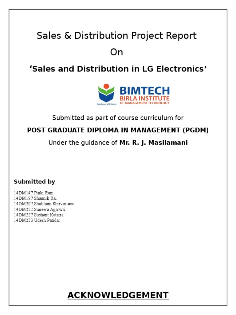 Sales Distribution Report - LG | PDF | Supply Chain | Distribution ...