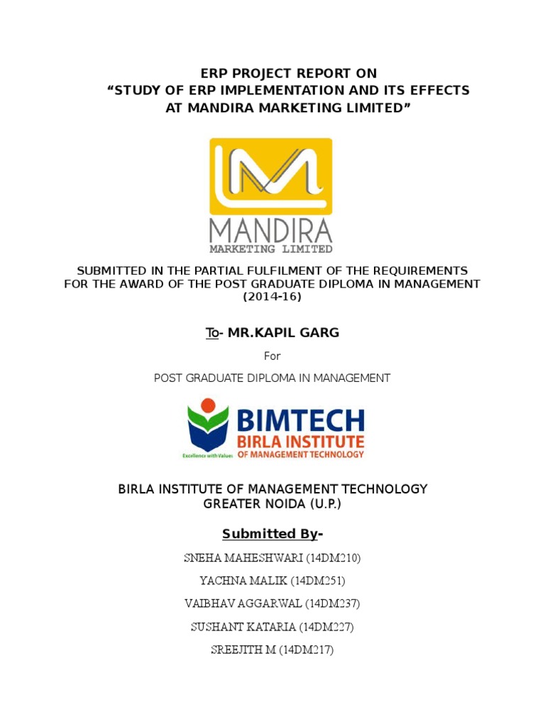 ERP Project Report | PDF | Enterprise Resource Planning | Information ...