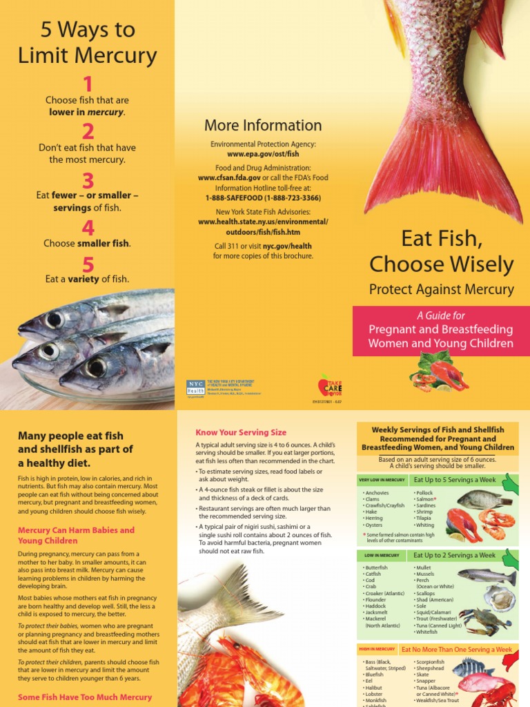 FISH Brochure | PDF | Pregnancy | Breastfeeding