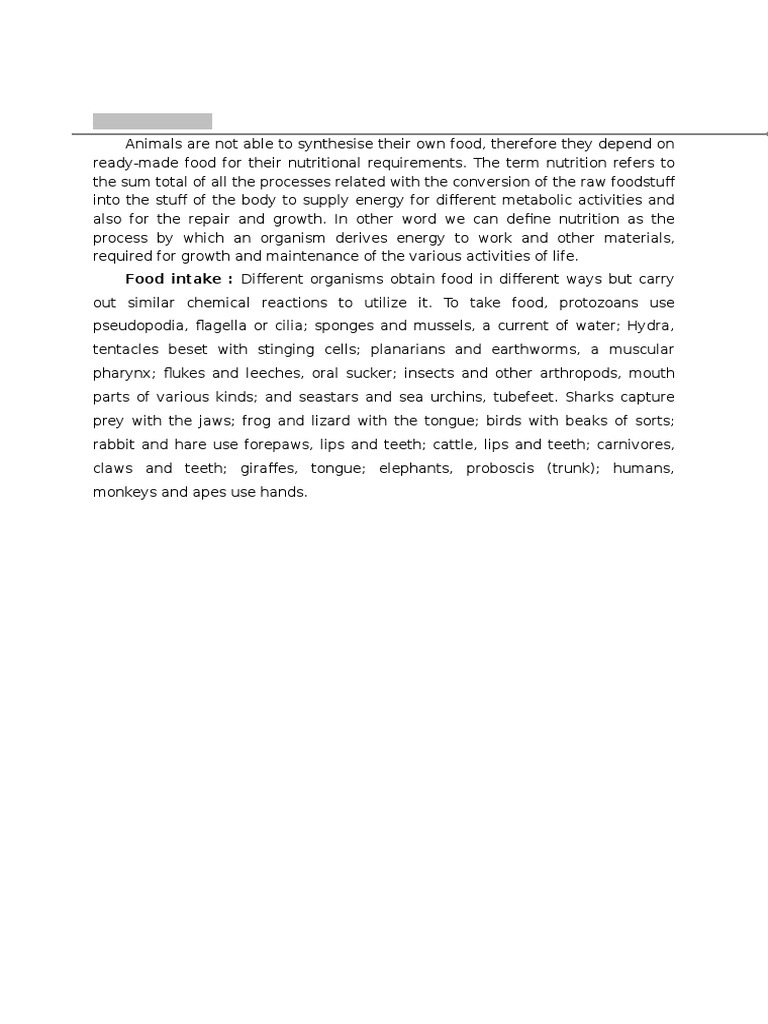 Animal Nutrition and Food Intake Methods | PDF | Wellness | Science ...