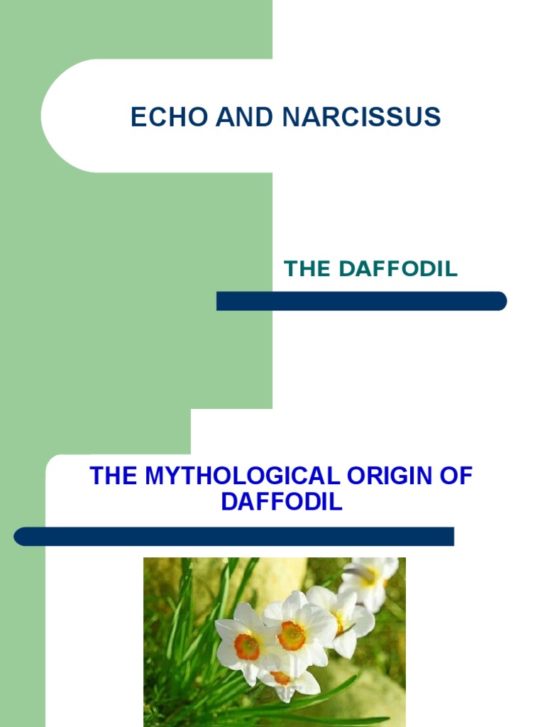 Echo and Narcissus: The Daffodil | PDF