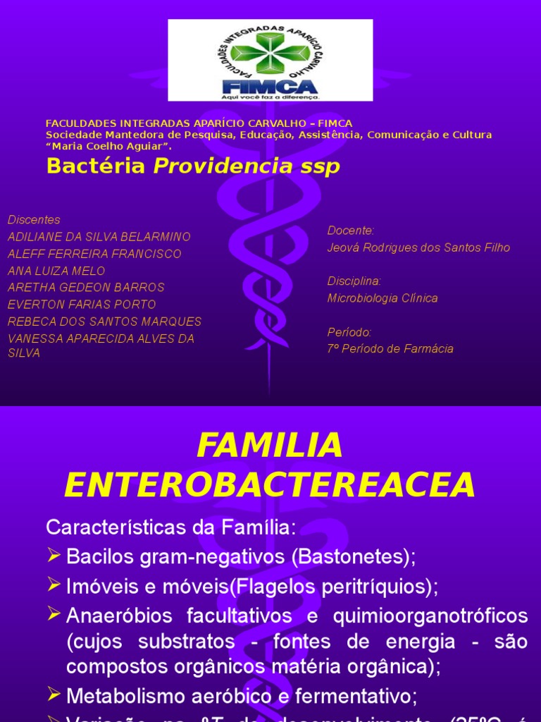 Bactéria Providencia Stuartii | PDF | Infecção do trato urinário | Infecção