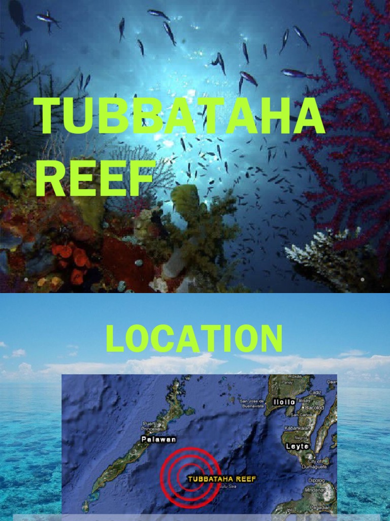 Tubbataha Reef | PDF | Coral Reef | Aquatic Animals