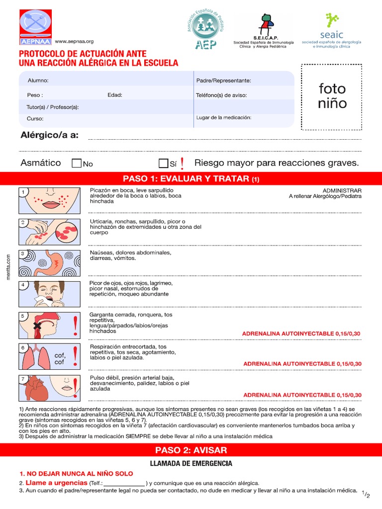 Protocolo de Actuación Ante Una Reacción Alérgica en La Escuela AEPNAA | PDF