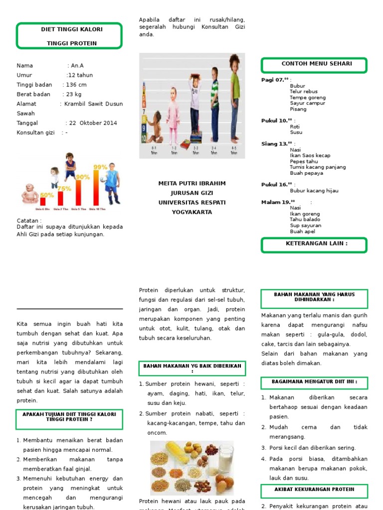 Menu Diet Tinggi Protein Anak | PDF
