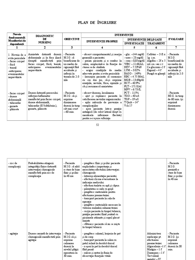 Plan de Îngrijire | PDF
