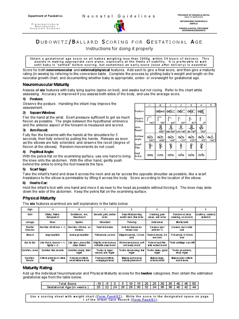 Dubowitz Ballard Score CHeRP 2007 | Download Free PDF | Anatomical ...