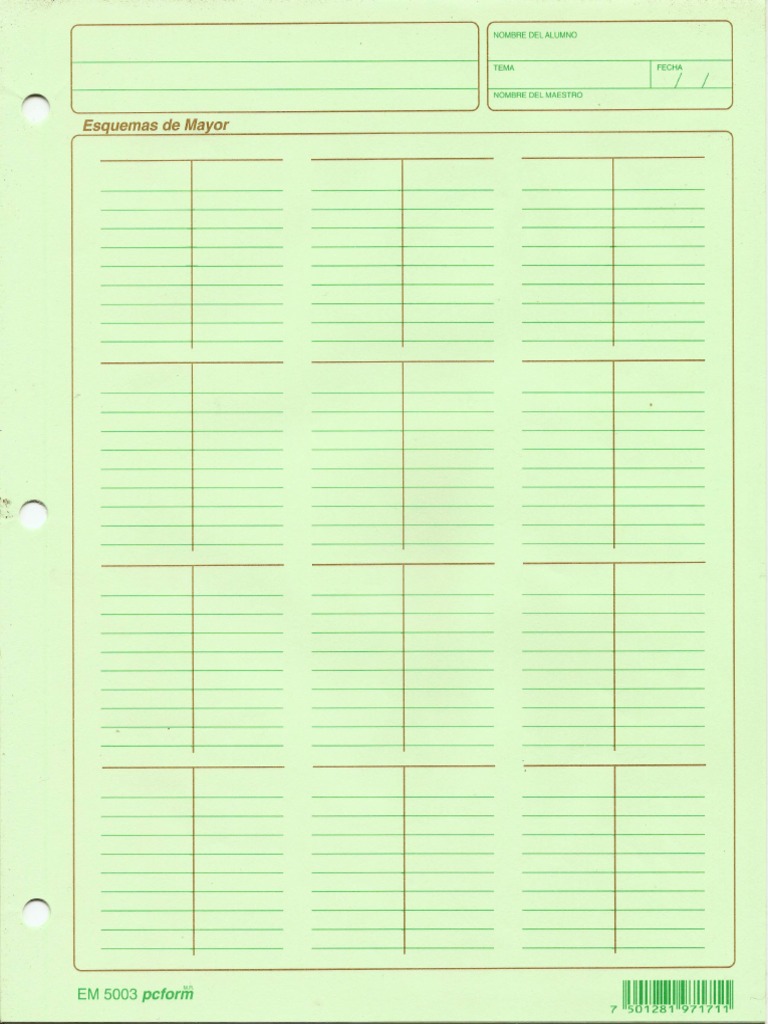 Esquemas de Mayor | PDF | Contabilidad y Auditoria | Bancario