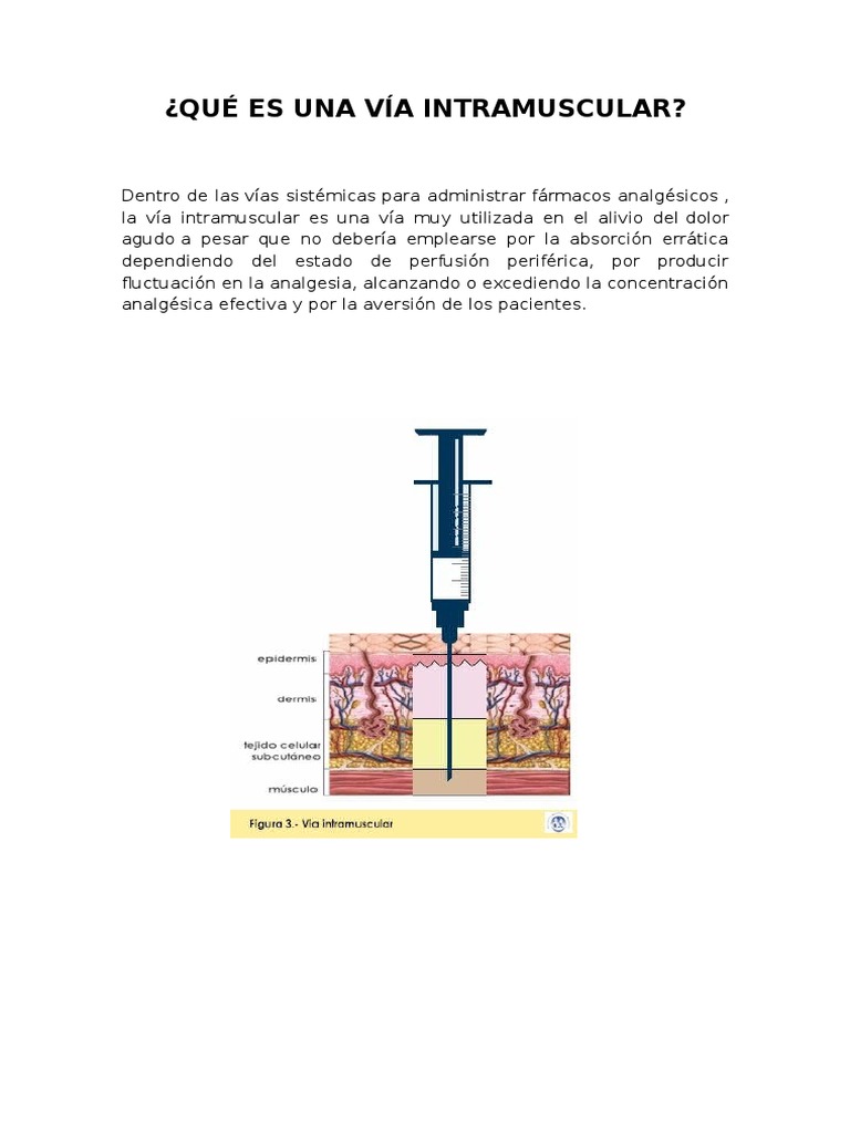 Qué Es Una Vía Intramuscular | PDF | Inyección (medicina ...