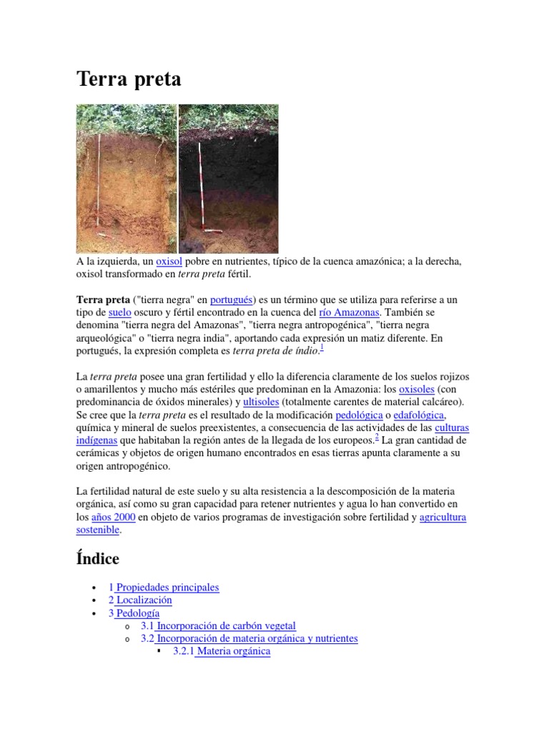 Propiedades y Origen de la Terra Preta | PDF | Naturaleza | Agricultura