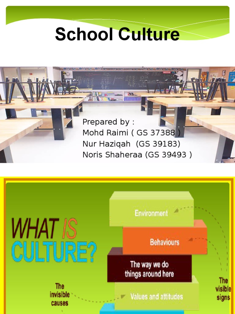 Understanding School Culture Dynamics | PDF | Career & Growth