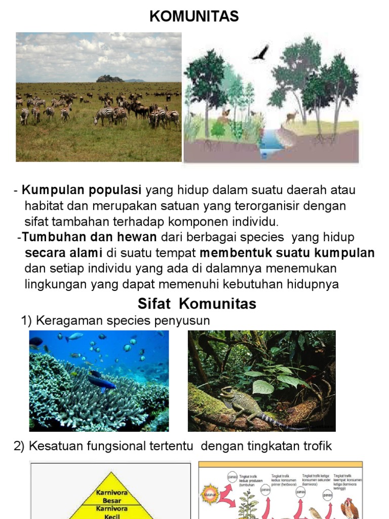 Komunitas Hewan Lengkap | PDF